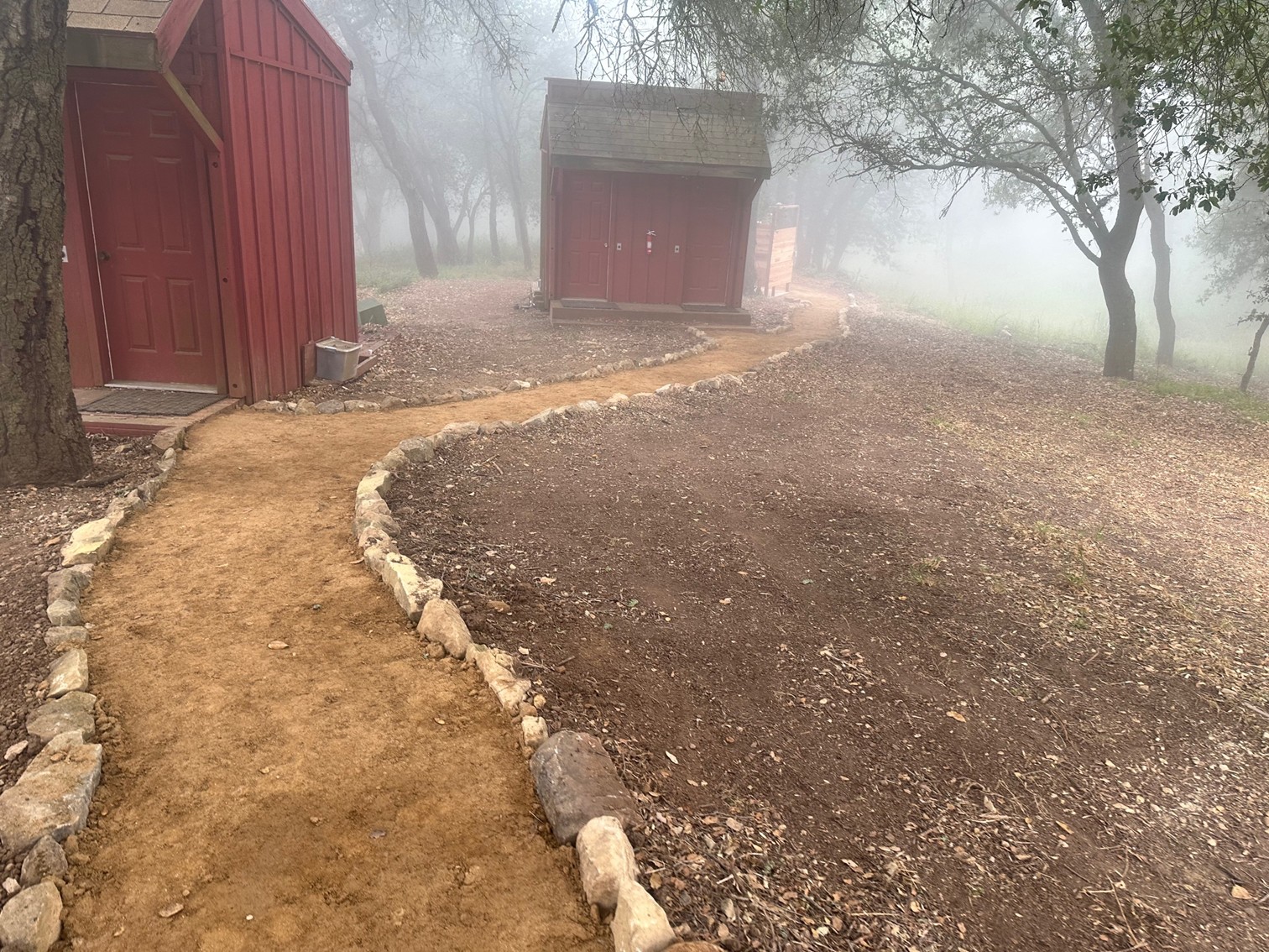 MSIA Presidency Update – June 2025 – New Day Herald