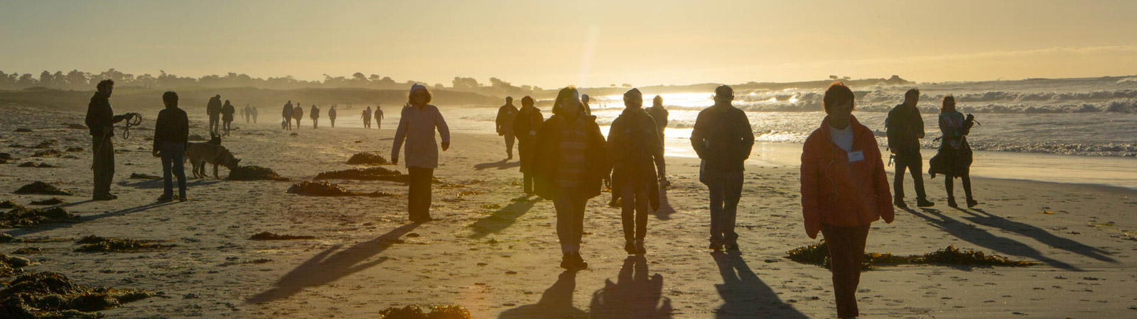 The 7 Keys of Soul Transcendence – MSIA